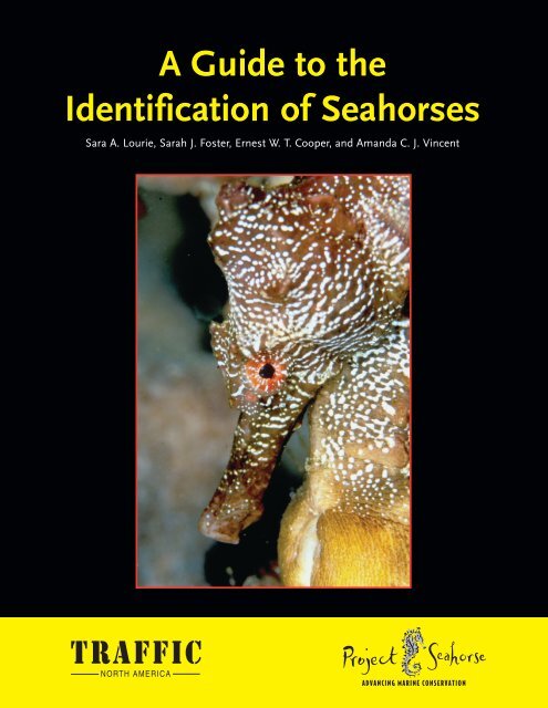 A Guide to the Identification of Seahorses