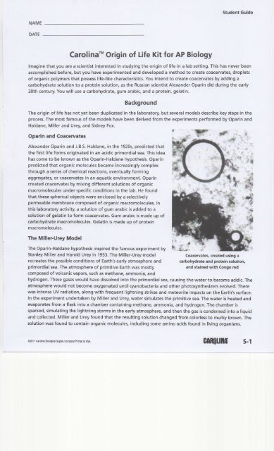Carolina™ Origin of Life Kit for AP Biology