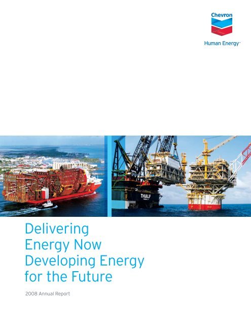 Annual Report 2008 | Chevron