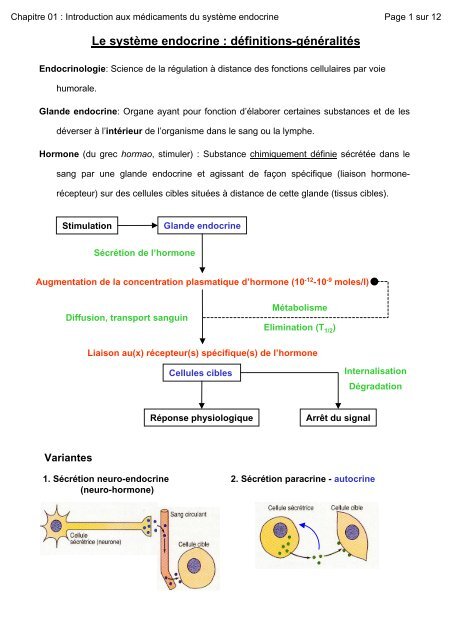 Le système endocrine : définitions-généralités