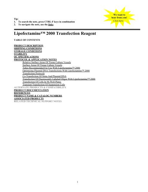 Lipofectamine 2000 Transfection Reagent - Invitrogen