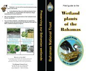 Ecosystems of The Bahamas - The Bahamas National Trust