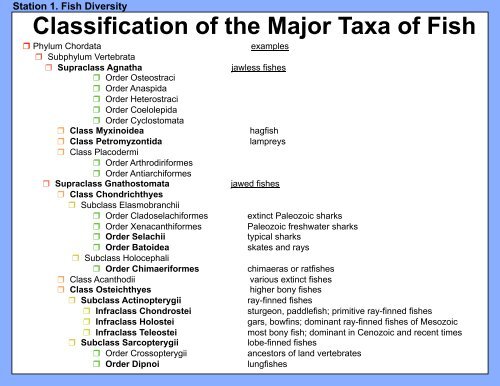 Classification of the Major Taxa of Fish