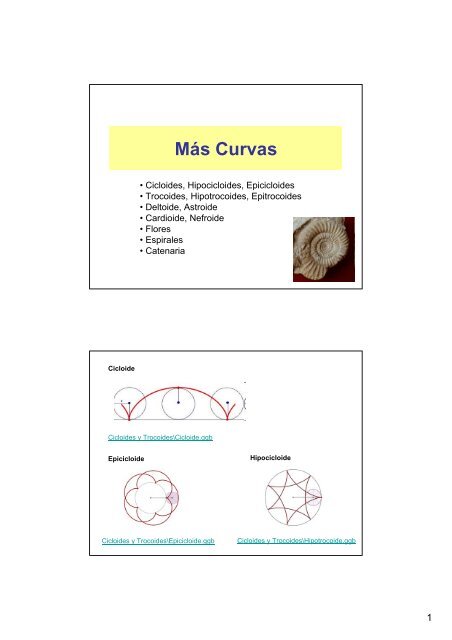 Otras curvas