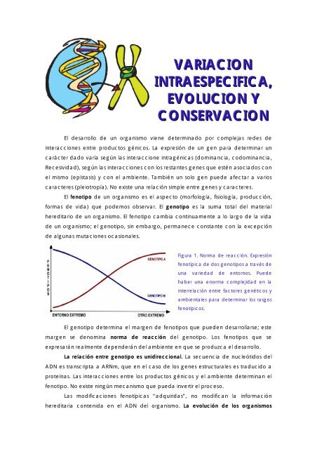 VARIACION INTRAESPECIFICA, EVOLUCION Y CONSERVACION