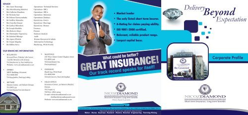 Corporate Profile - NicozDiamond