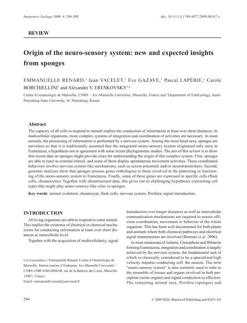 Origin of the neuro-sensory system: new and expected insights from ...