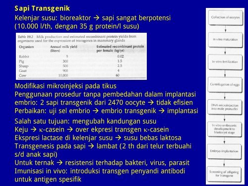 Sapi Transgenik Kelenjar