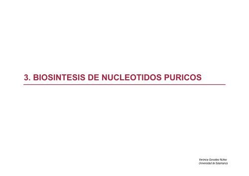3. BIOSINTESIS DE NUCLEOTIDOS PURICOS