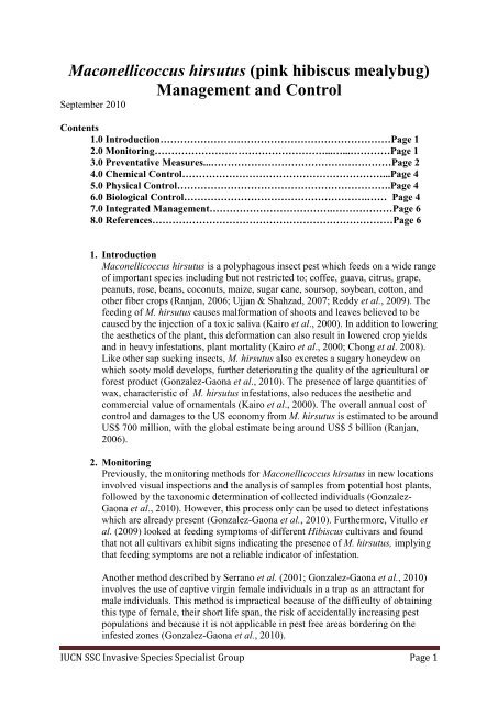 Maconellicoccus hirsutus (pink hibiscus mealybug) Management ...