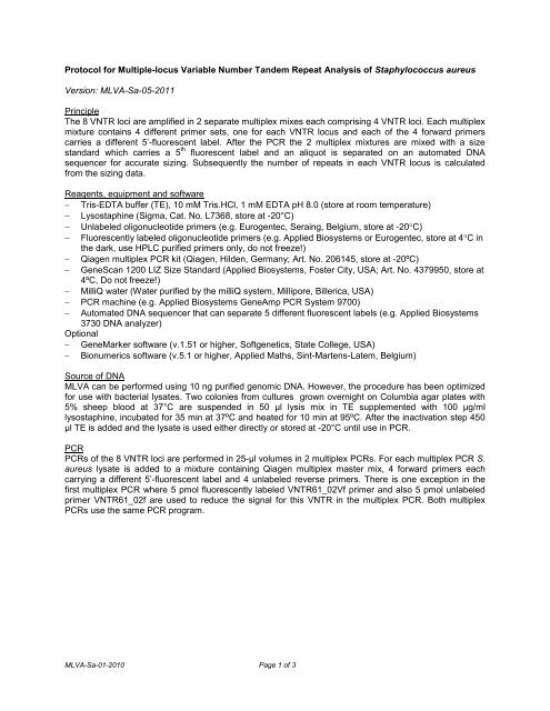 Protocol for Multiple-locus Variable Number Tandem Repeat ... - MLVA