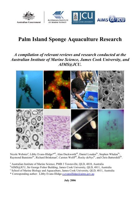 Palm Island Sponge Aquaculture Research - The Australian Institute ...