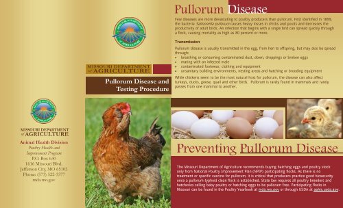 Pullorum Disease and Testing Procedure - Missouri Department of ...