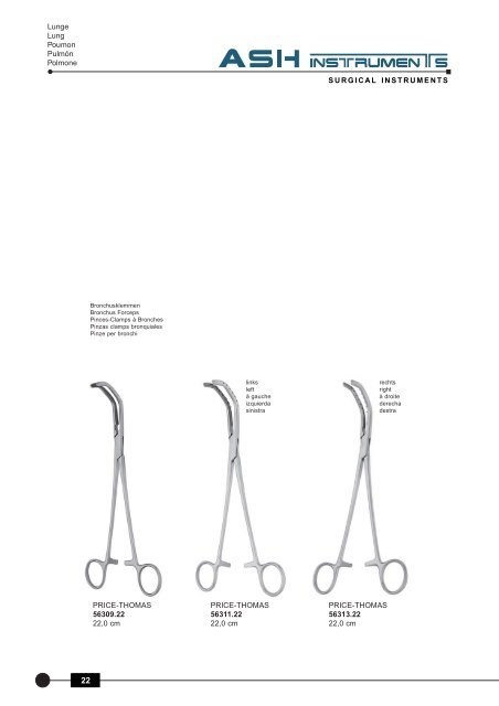 Lunge Lung Poumon Pulmón