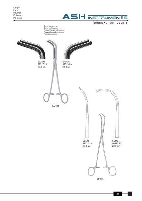Lunge Lung Poumon Pulmón