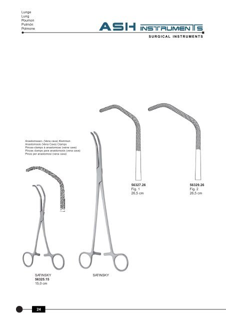 Lunge Lung Poumon Pulmón