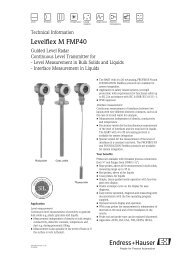 Levelflex FMP51, FMP52, FMP54 - Access Instrumentation