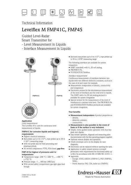 Levelflex M FMP41C, FMP45 - CMS