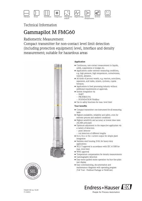 Gammapilot M FMG60 (Technical Information)