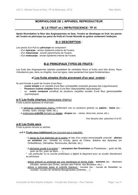 Programmation Web avec PHP - Université Nice Sophia Antipolis