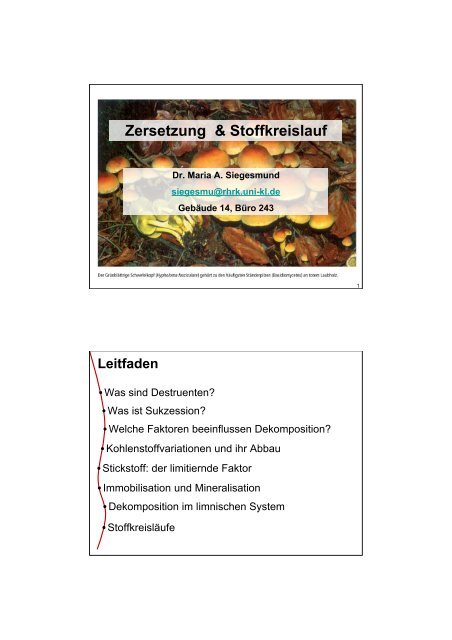 Destruenten
