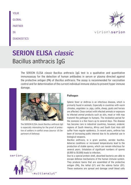 SERION ELISA classic Bacillus anthracis IgG - virion\serion