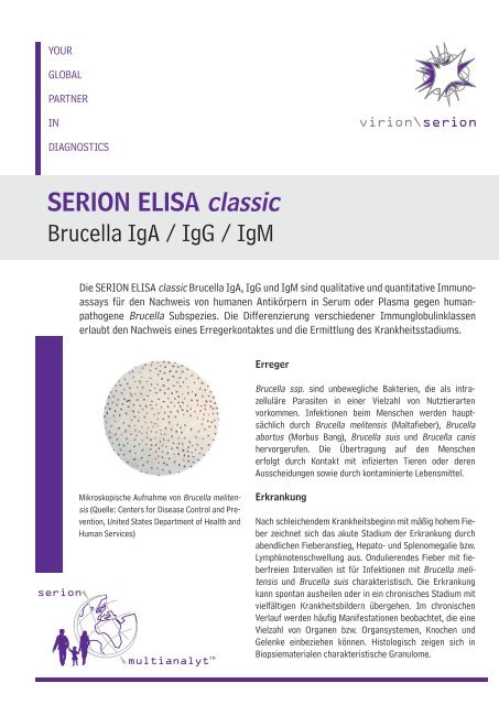 SERION ELISA classic Brucella IgA / IgG / IgM - virion\serion