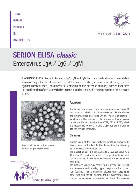 SERION ELISA classic Enterovirus IgA / IgG / IgM - virion\serion