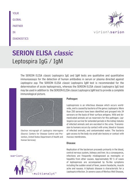 SERION ELISA classic Leptospira IgG / IgM - virion\serion