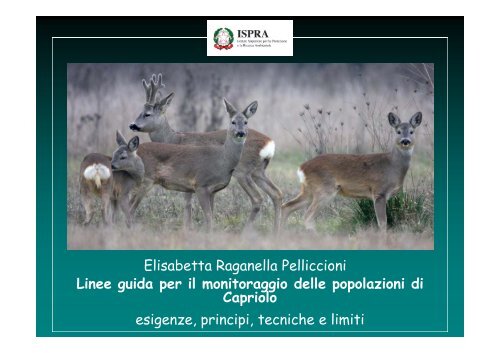 Linee guida per il monitoraggio delle popolazioni di Capriolo ...