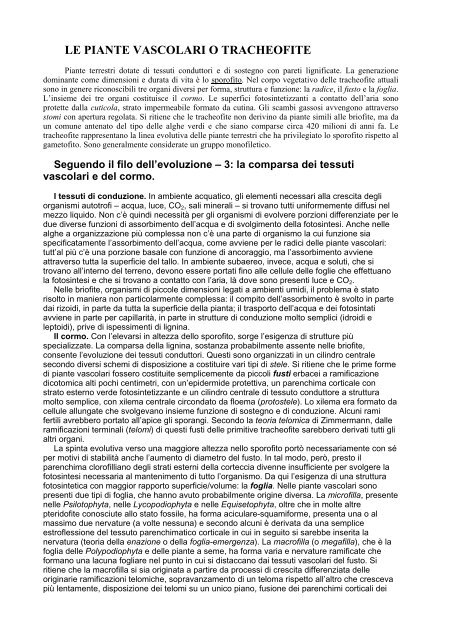 LE PIANTE VASCOLARI O TRACHEOFITE - UniFI