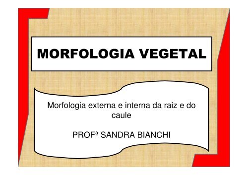Morfologia Vegetal