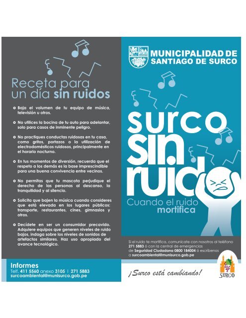 RUIDOS - APROBADO - Municipalidad de Santiago de Surco