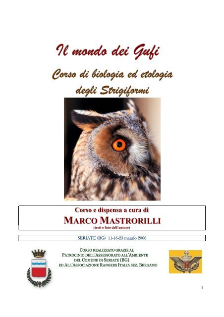 Gufi Bianchi In Volo