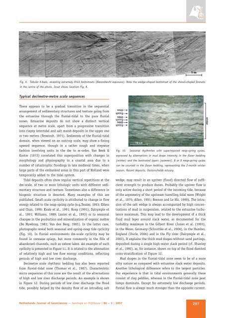 Fig. 7. Irregular mud-dra