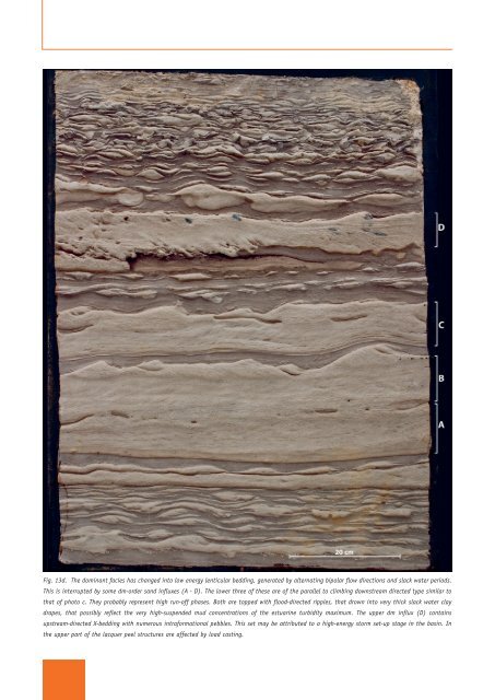 Fig. 13d. The dominant fa