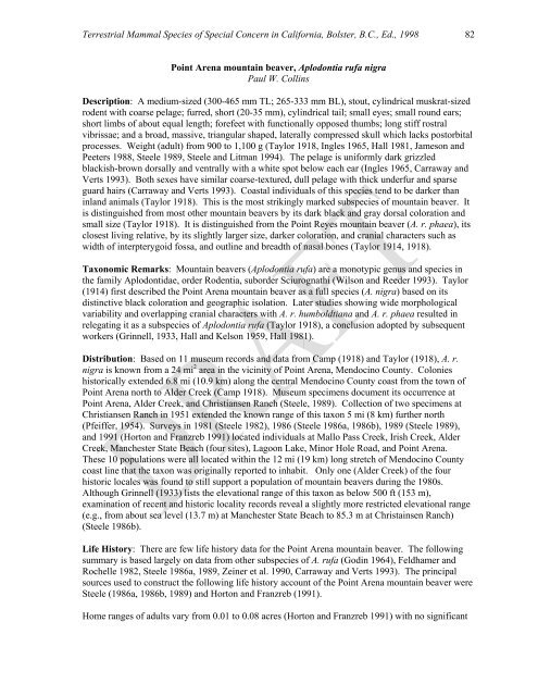 Point Arena mountain beaver, Aplodontia rufa nigra