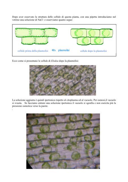 Possiamo osservare anche