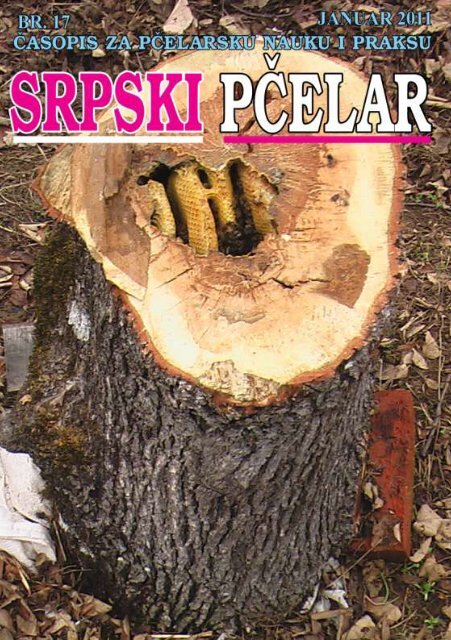 košnica rodna voja - Beekeeping Dragoslav