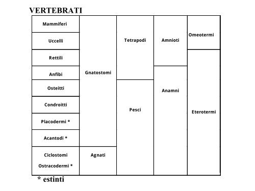 02 Classificazione