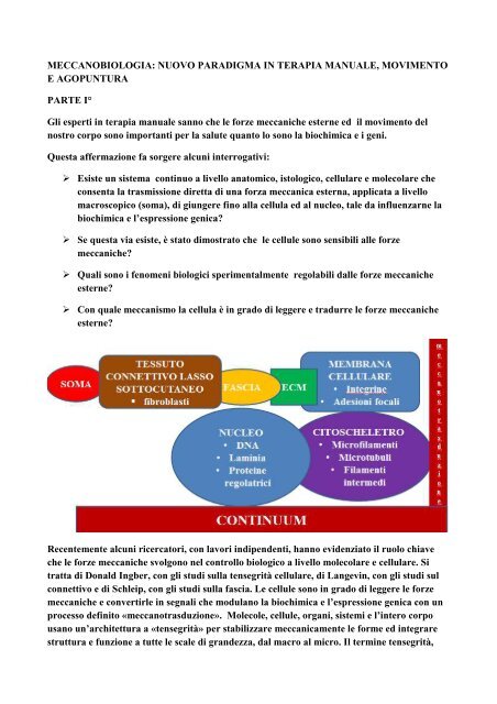MECCANOBIOLOGIA, nuovo paradigma in terapia manuale ... - arimm