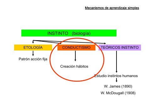 INSTINTO (biología) Meca