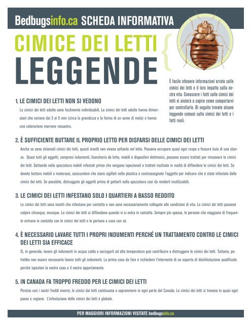 CimiCe dei letti - Bed bugs