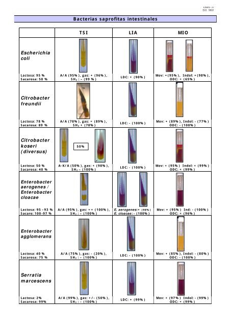 Bacterias saprofitas intestinales TSI LIA MIO Escherichia coli ... - gefor