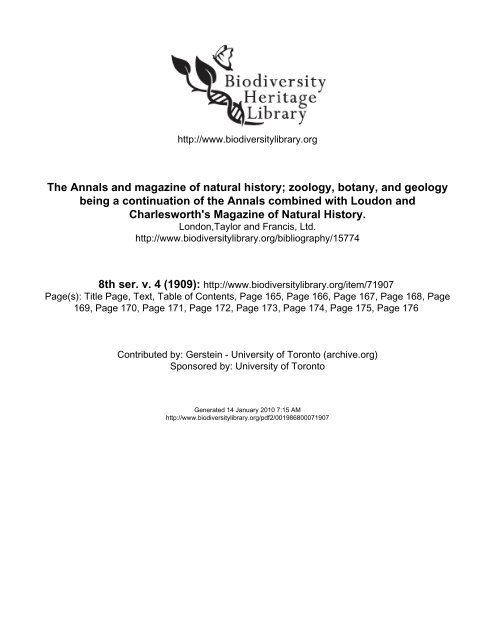 A Revision of the Australian Species of the genus Scolia