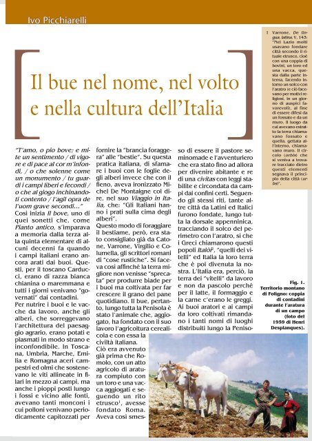 Il bue nel nome, nel volto e nella cultura dell'Italia, di Ivo Picchiarelli