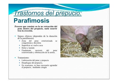 Trastornos del pr