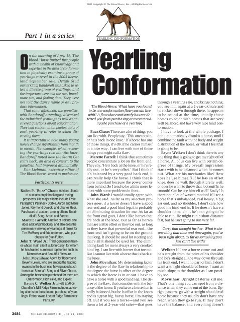 Yearling Conformation - Marette Farrell