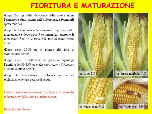 FIORITURA E MATURAZIONE 1