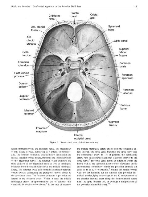 10 Operative Techniques i
